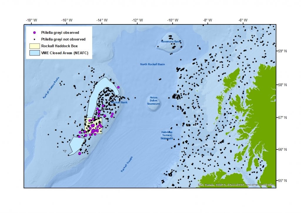 Marine Marine Scotland Science Discover New Coral Species on Rockall