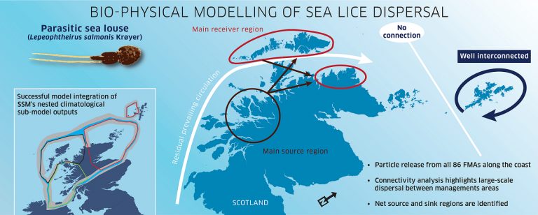 Marine New Reports looking at Sea Lice Dispersal around Scotland