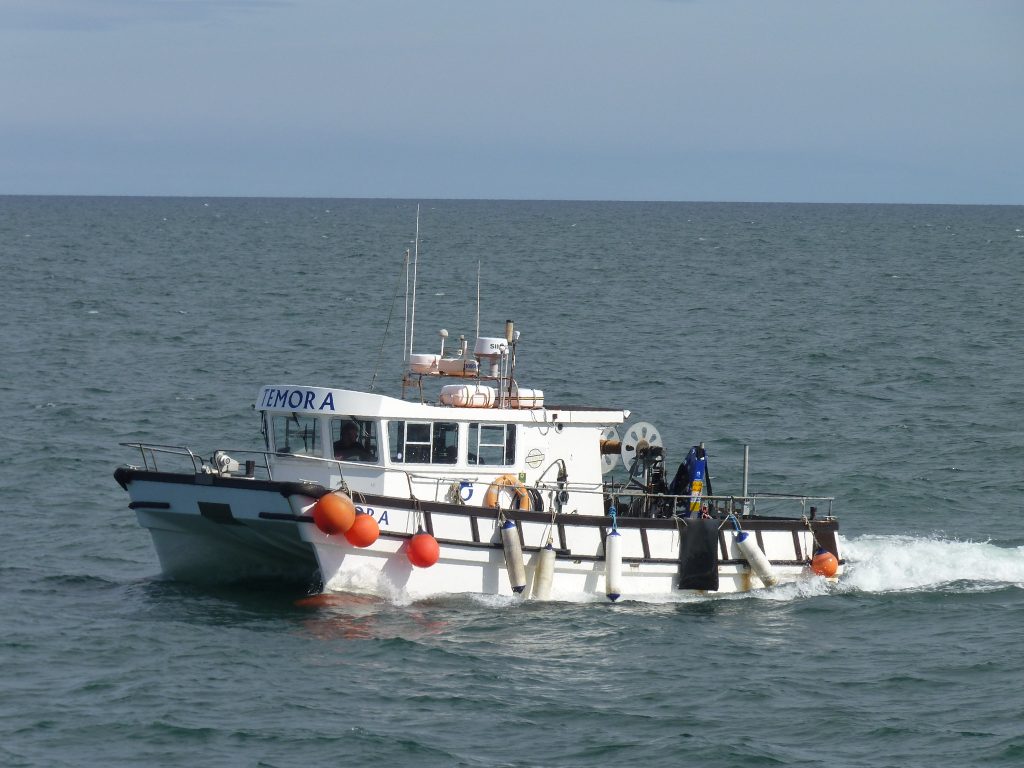 Marine Scotland's Marine Assessment Archives - Marine