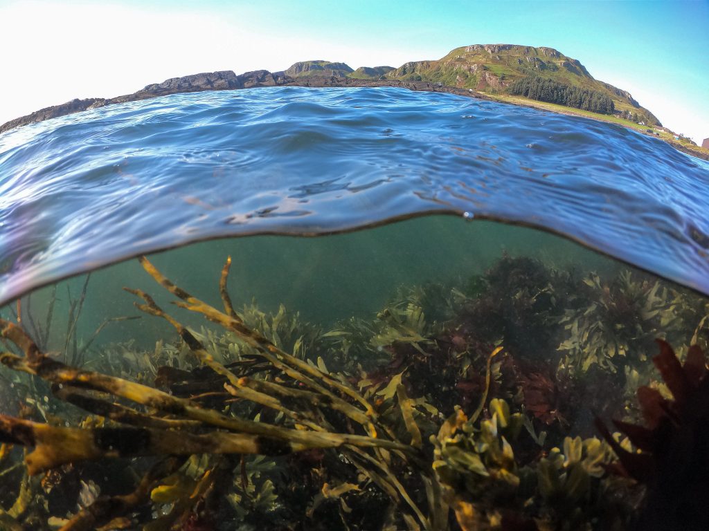 Marine Scotland Marine Scotland - Scottish Government Blog