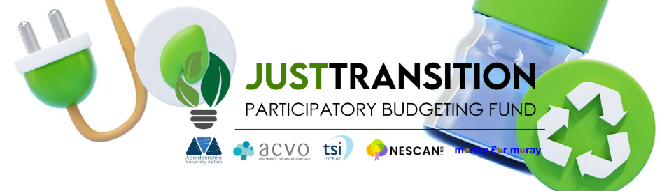 Open Government Partnership Just Transition Participatory Budgeting ...